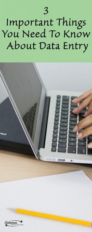 3 Important Things You Need To Know About Data Entry - Sabrinas Admin ...